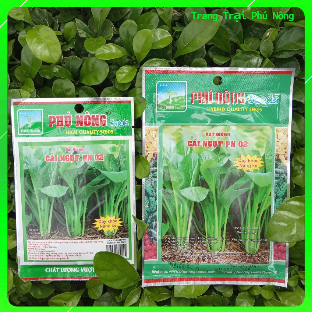 Hạt Giống Cải Ngọt Cao Sản Phú Nông - Gói 20g - 50g - Tsoi Sim | Shopee ...