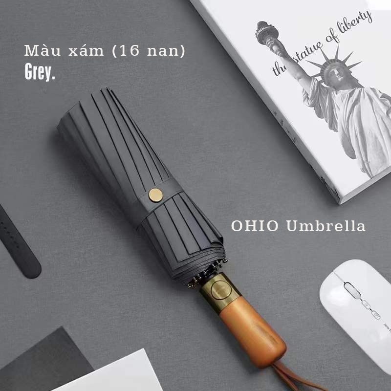 Ô che mưa, ô che nắng, Dù che mưa, Dù che nắng tự động 16 nan, Ô gấp 3 ...