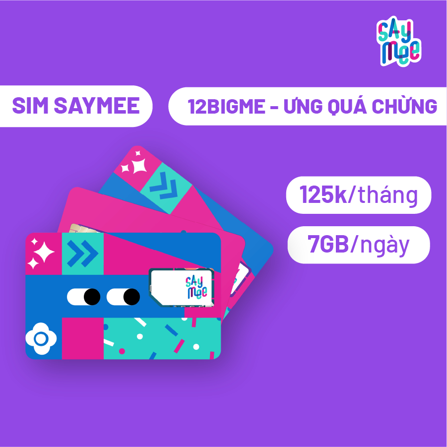 Sim mạng, sim data, sim 4G Saymee - 12BIGMEE - Data tốc độ cao dung ...