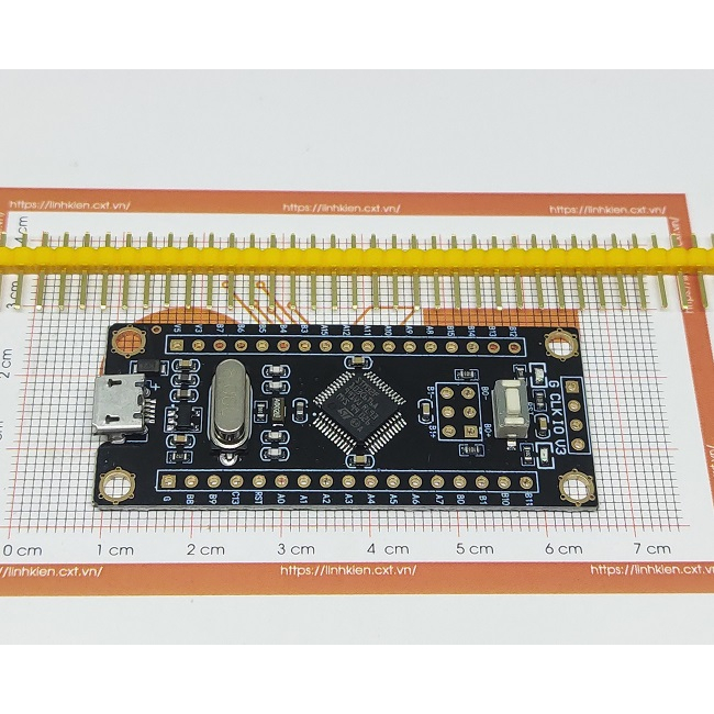 Stm32f103c6t6 Black Pill Mini Kit Arm Cortex M3 Shopee Việt Nam 9310