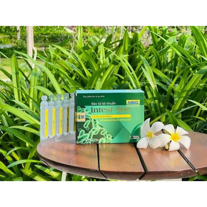 Bào từ lợi khuẩn Intest Pro NSG | Shopee Việt Nam