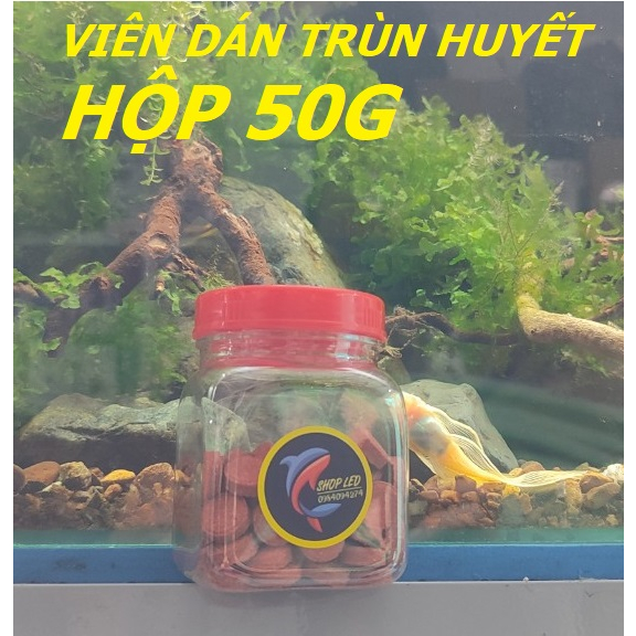 Thức ăn cá dán Biozym trùn huyết - Red Worm Patch Feed- viên dán trùng huyết giun đỏ cho cá tép ...
