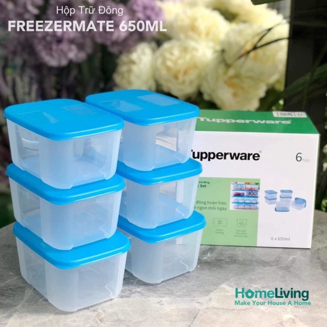Hộp Trữ Đông Basic set 6 650ml Tupperware Kín nước kín khí | Shopee Việt Nam