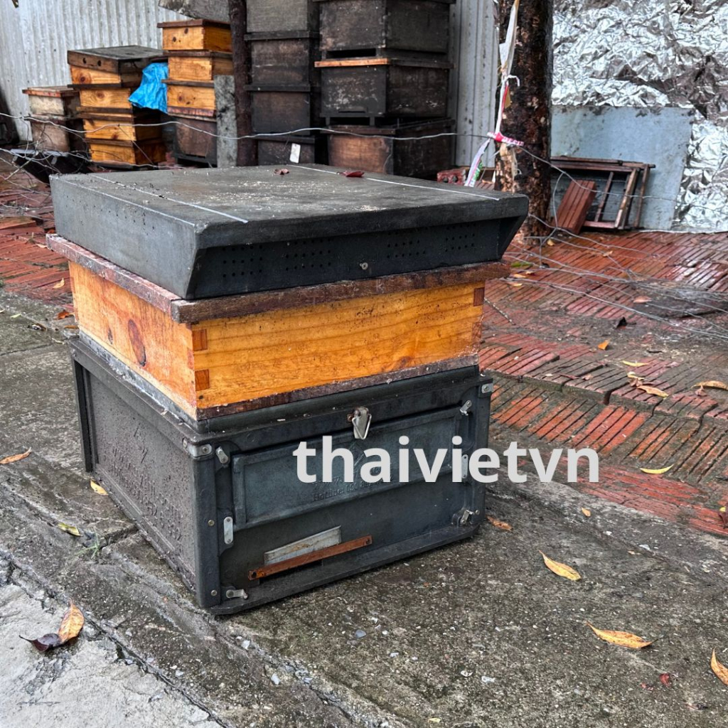 Thùng kế lửng Tagri ,11 khung cầu, lưới chắn chúa, tương thích thùng ...