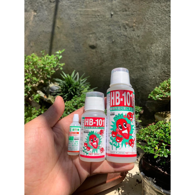 hb101 nhật bản phục hồi cây yếu cứu cây suy kèm quà tặng | Shopee Việt Nam