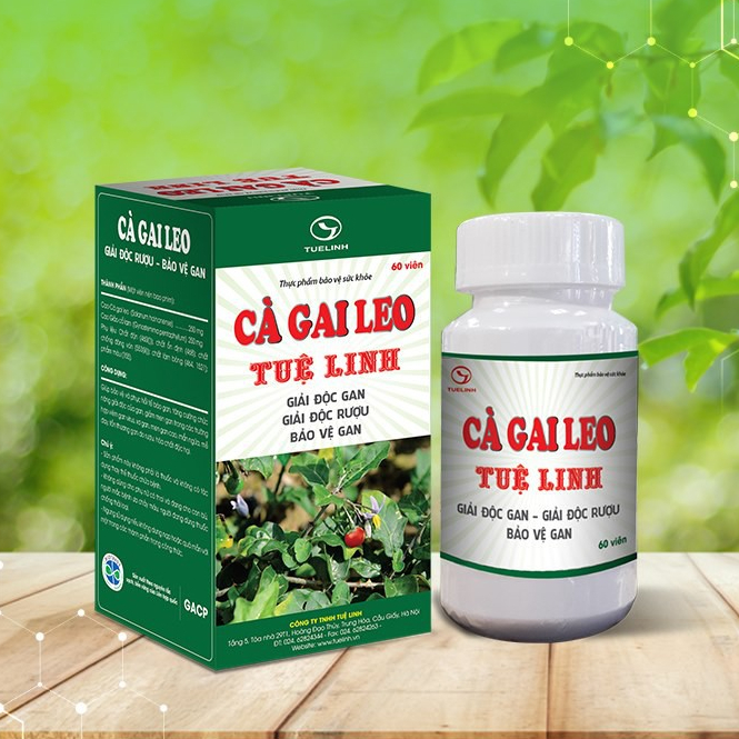 Cà gai leo Tuệ Linh [CHÍNH HÃNG] Hộp 60v - Hỗ trợ điều trị các bệnh về gan | Shopee Việt Nam