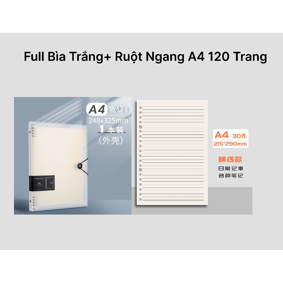 Combo Sổ còng size A4, A5, B5 ruột giấy kẻ ngang hoặc caro và bìa cứng ...