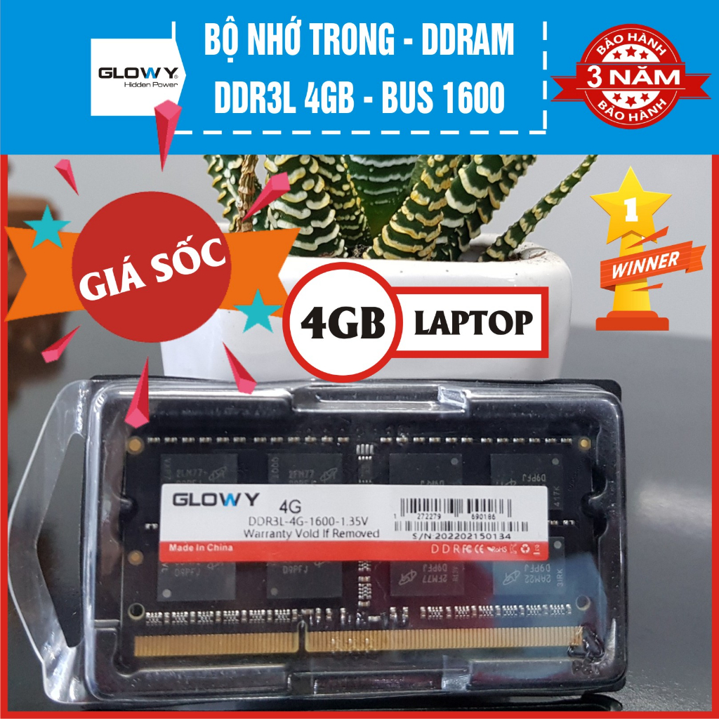 Ram Glowy DDR3L laptop - 4GB Bus 1600MHz - Chính hãng - Bảo hành 36 ...