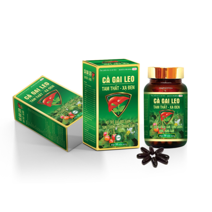 Cà Gai Leo Tam Thất Xạ Đen Thanh Nhiệt - Giải Độc Gan – Chai 50 Viên ...