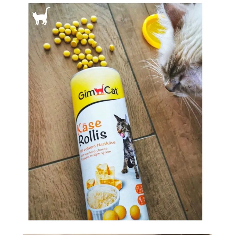 Gim Cat Các Loại Cho Mèo | Shopee Việt Nam