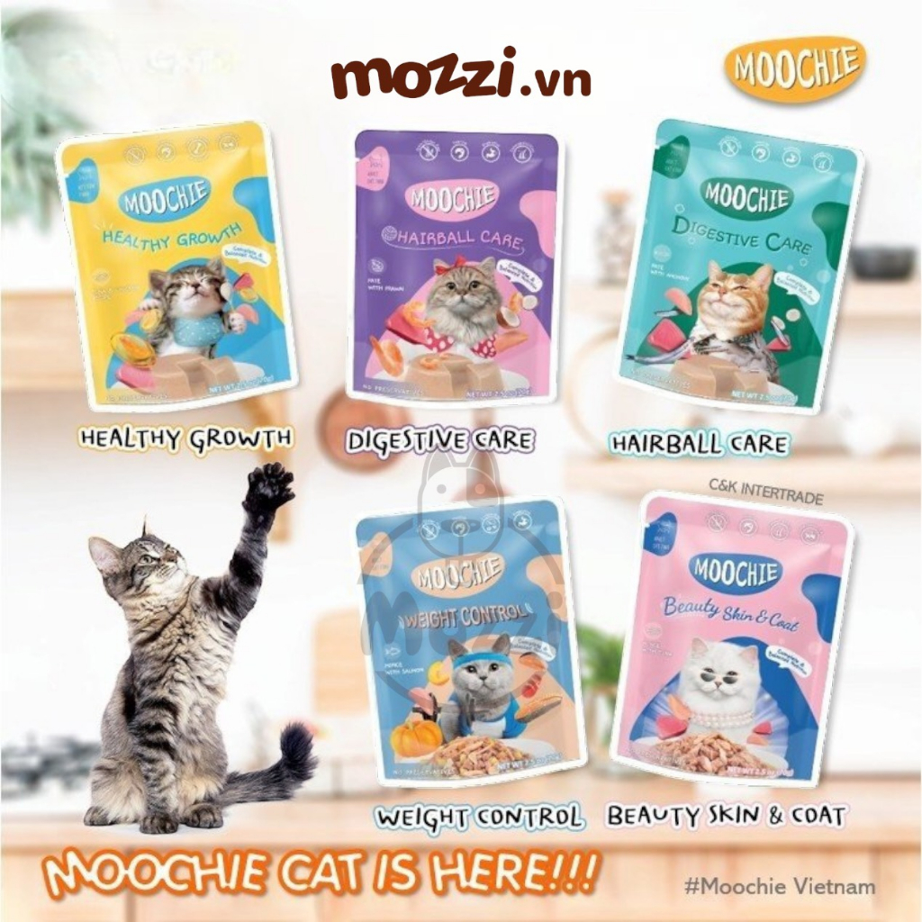 [Gói 70gr] Moochie Pate Thức ăn ướt dạng gói cho mèo | Shopee Việt Nam