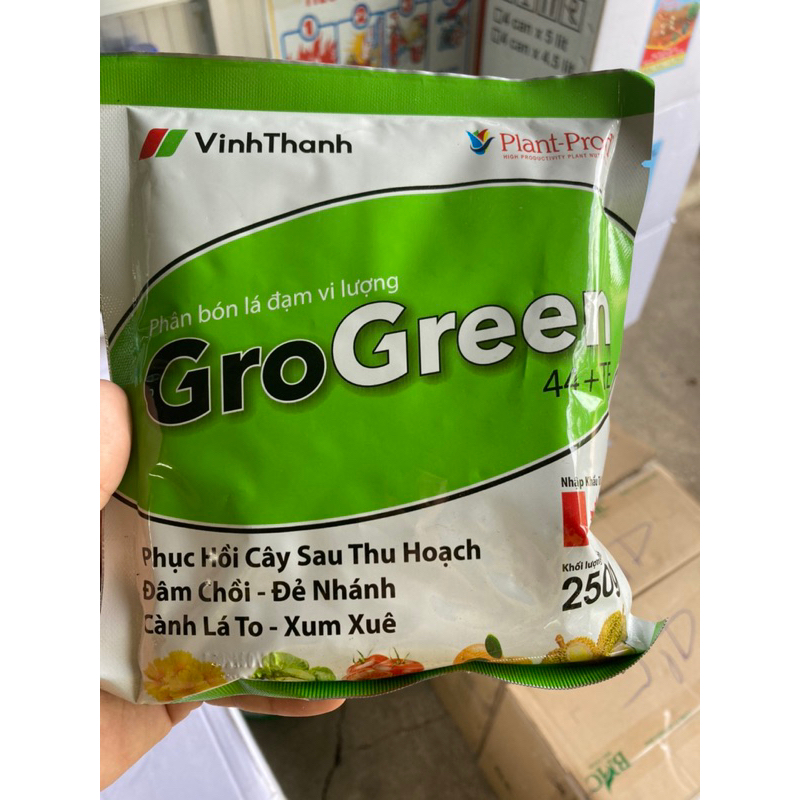 Phân bón Siêu Đạm Grogreen 44+ TE nhập Canada 250gr đâm chồi, đẻ nhánh ...