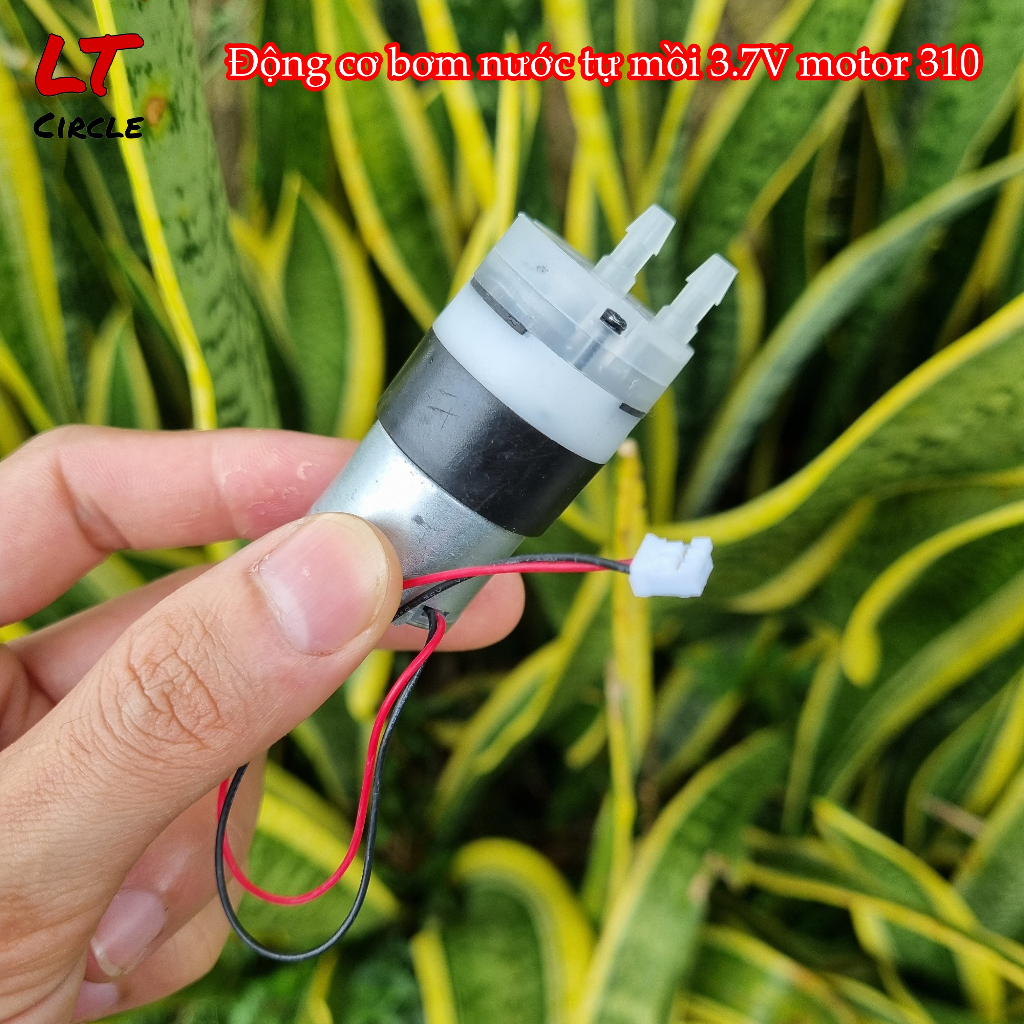 Động cơ bơm nước DC 3.7v tự mồi motor 310 bơm cao 2m hút 1m - LT Circle ...