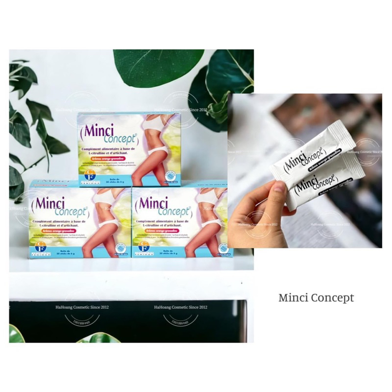 MINCI CONCEPT | Shopee Việt Nam