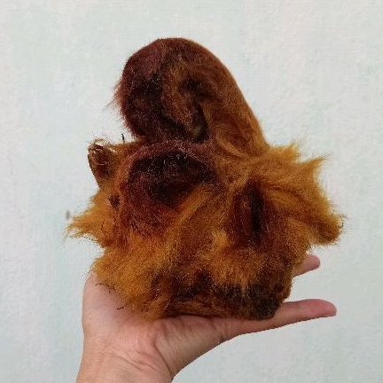 Cẩu tích( lông cu li khô ) | Shopee Việt Nam