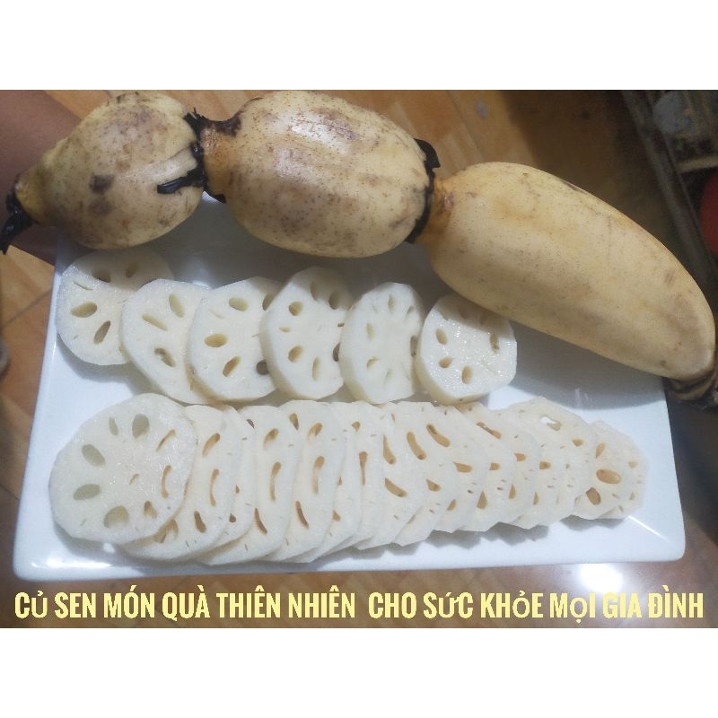 củ sen bắc giang | Shopee Việt Nam