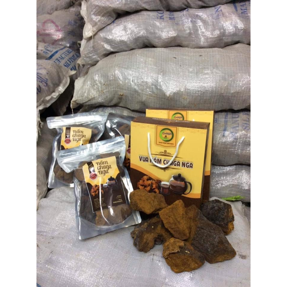 1kg Nấm Chaga nhập khẩu chính hãng từ Nga | Shopee Việt Nam