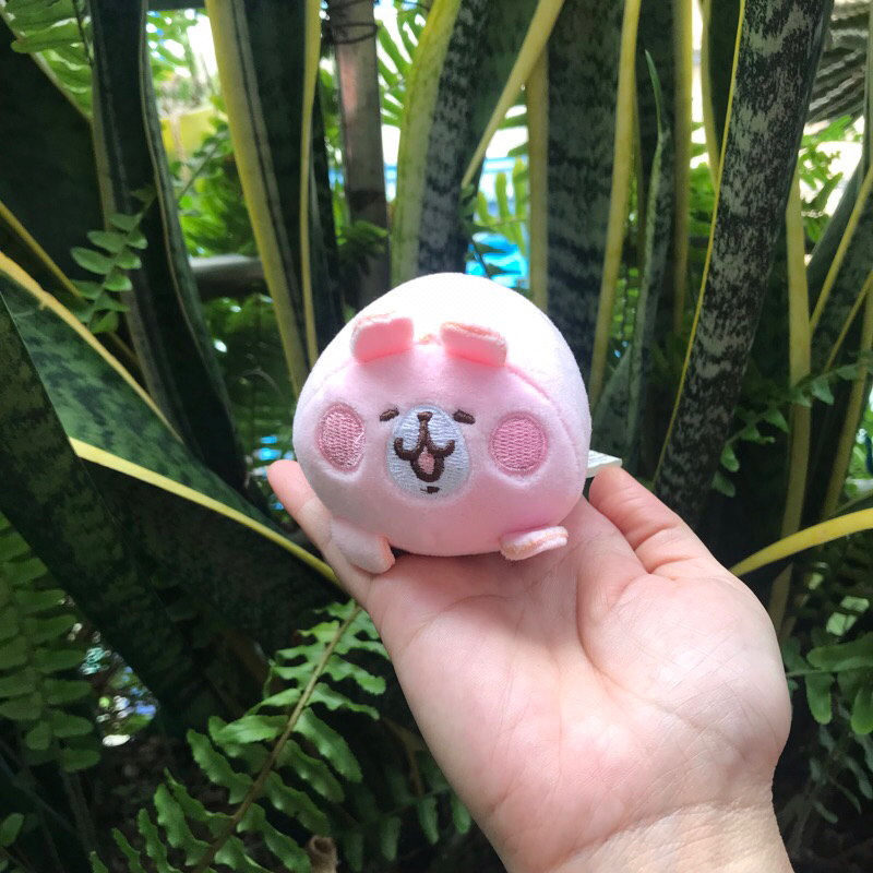 Gấu bông vịt Piske & thỏ hồng Usagi (2hand) | Shopee Việt Nam