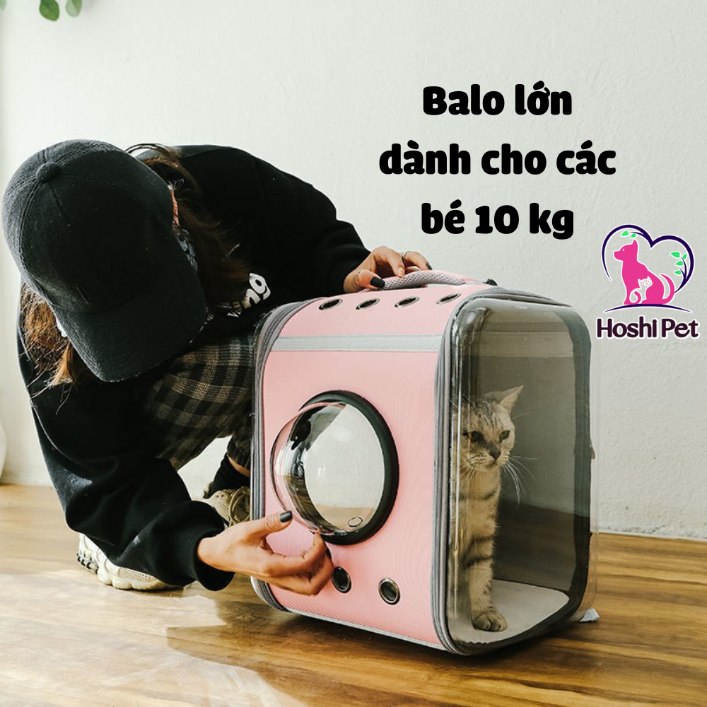 Balo phi hành gia vận chuyển chó mèo size lớn dạng balo trong suốt hình vuông Hoshi Pet BL05 ...