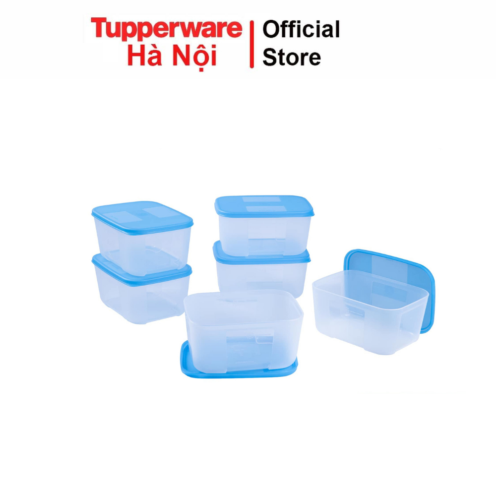 Bộ hộp trữ đông Tupperware Freezermate 650ml (6 hộp) chính hãng ...