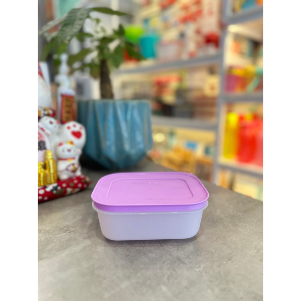 Hộp lẻ trữ đông lẻ size Tupperware Freezermate GenI Gen II đủ các loại ...
