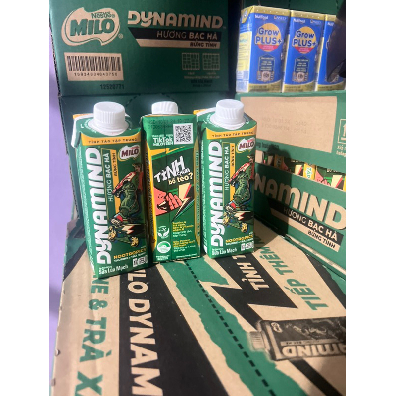 Thùng 24 hộp lúa mạch Milo DYNAMIND hương bạc hà 200ml | Shopee Việt Nam