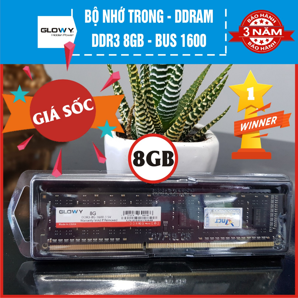 Ram Glowy DDR3 PC- 8GB Buss 1600MHz - Chính hãng - Bảo hành 36 Tháng ...