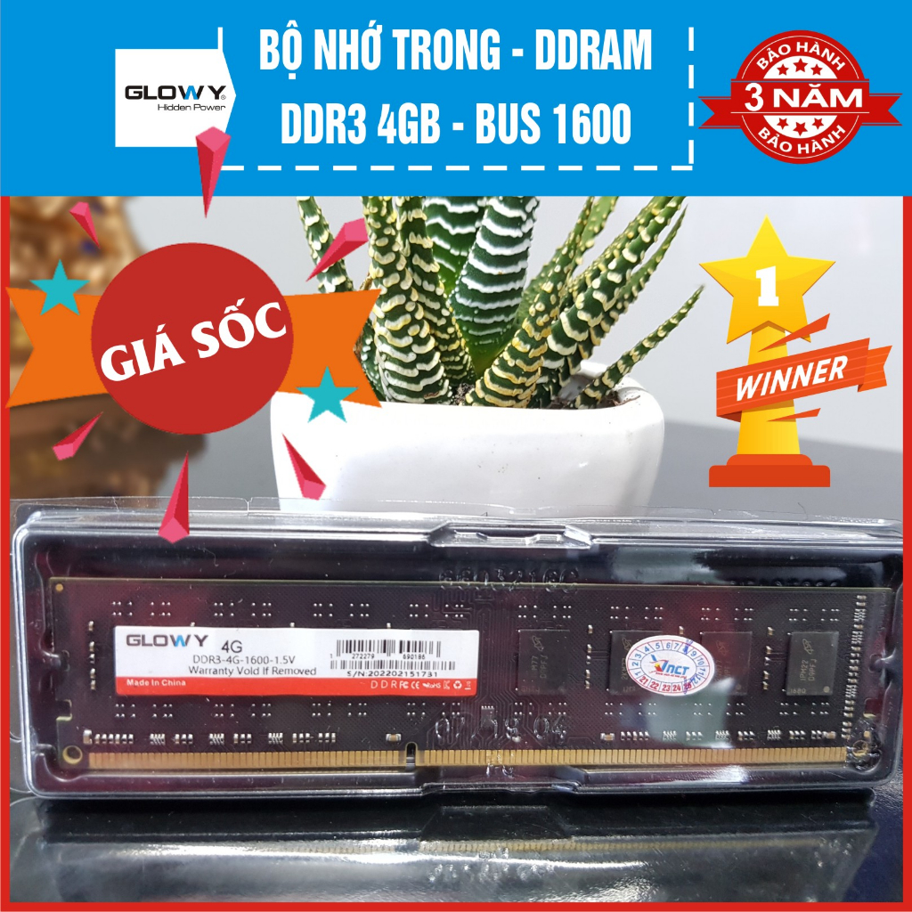Ram PC Glowy DDR3 - 4GB Buss 1600MHz - Chính hãng - Bảo hành 36 Tháng ...
