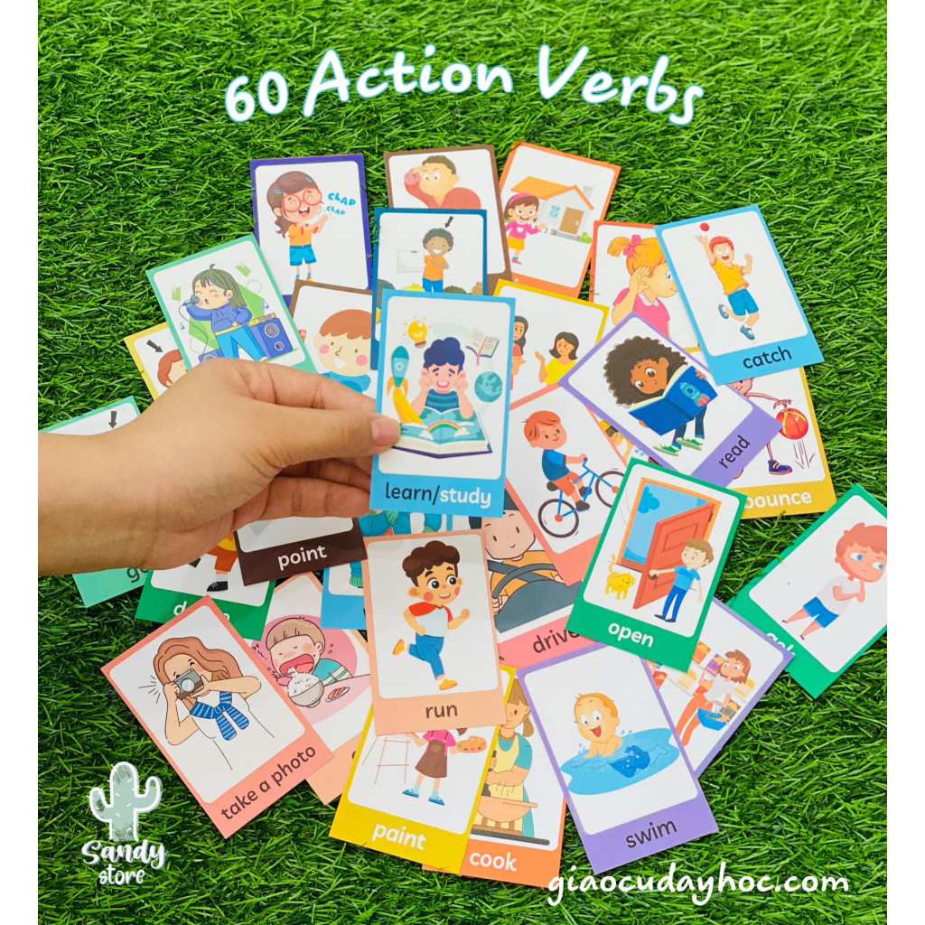 Bộ Thẻ 60 Động Từ Action Verbs Shopee Việt Nam