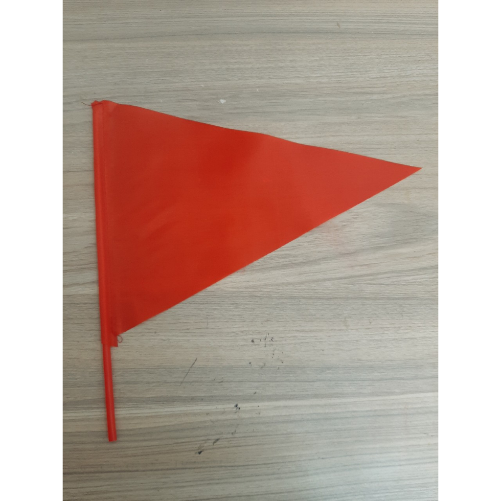 Cờ cầm tay, cờ tam giác, cờ đuôi nheo | Shopee Việt Nam