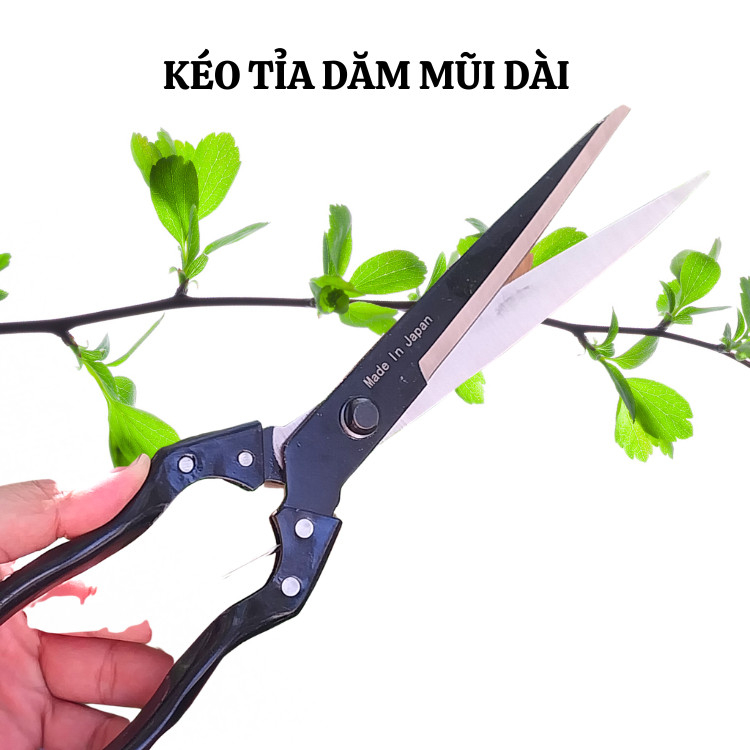Kéo cắt tỉa cành cây kéo tỉa dăm mũi nhọn dài 24-34cm | Shopee Việt Nam