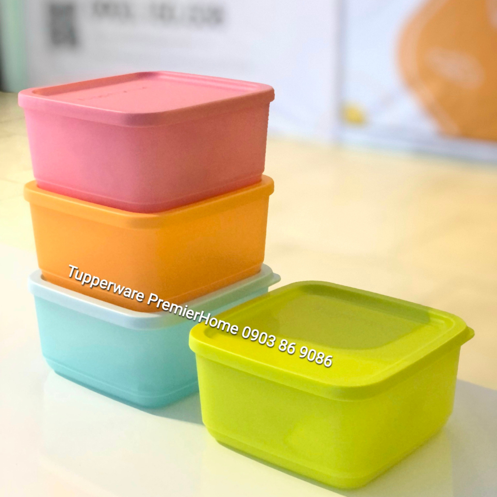 Bộ Hộp Bảo Quản Thực Phẩm Tupperware Small Square Round 4 Hộp | Shopee ...