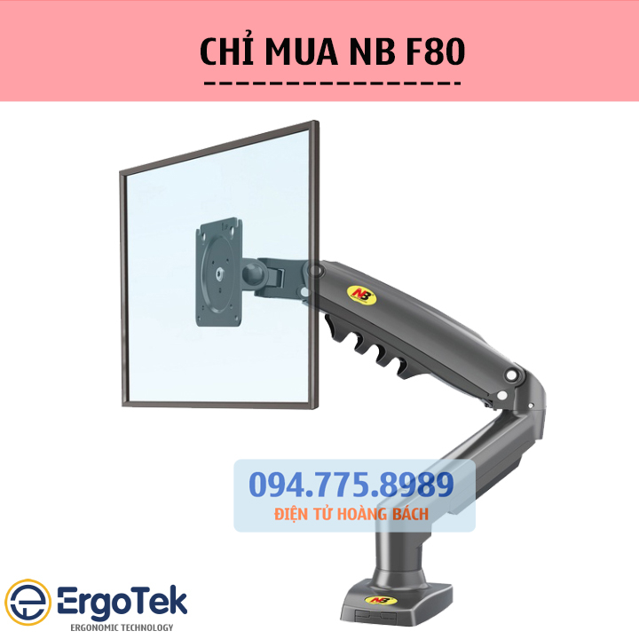 Combo NB F160 / F80 + NB FP2 - Giá Đỡ Màn Hình Và Laptop ErgoTek EZ4 ...