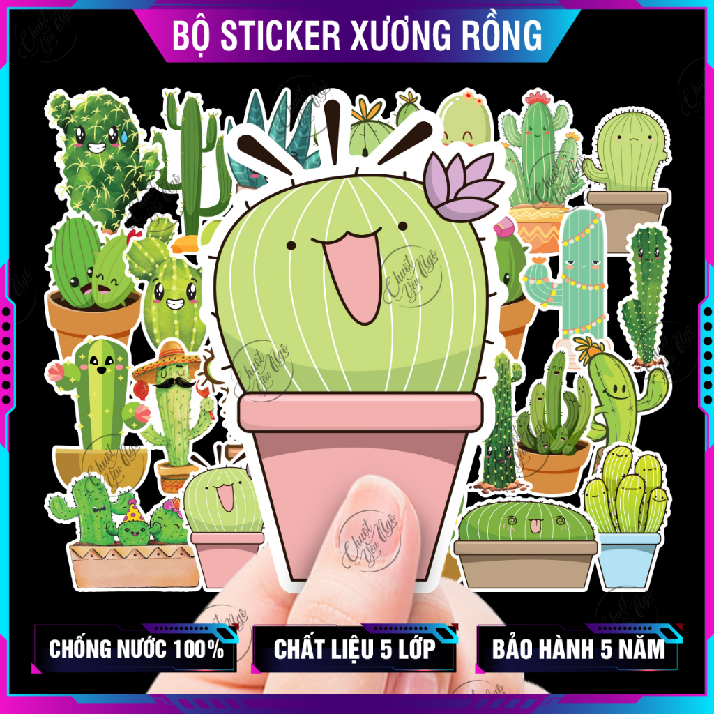 Combo 100 sticker không trùng XƯƠNG RỒNG sen đá kawaii dễ thương ...