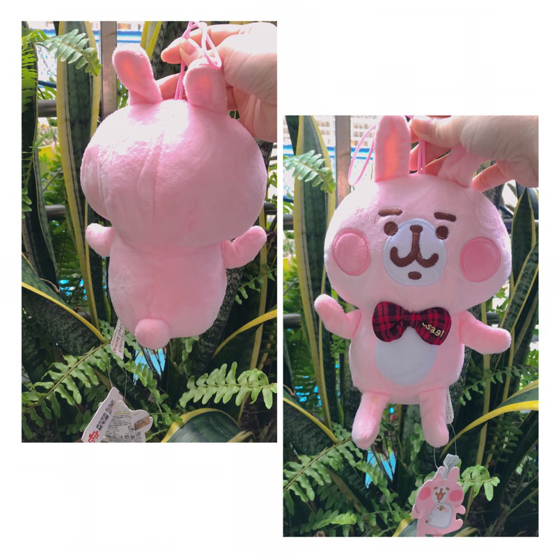 Gấu bông vịt Piske & thỏ hồng Usagi (2hand) | Shopee Việt Nam