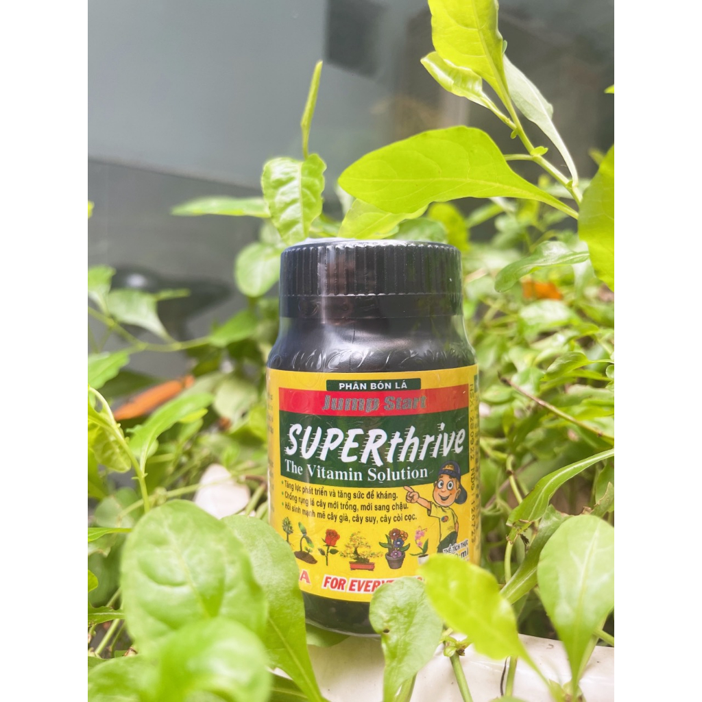 Phân Bón Lá Jump Start - Superthrive the vitamin solution 100ml | Shopee Việt Nam