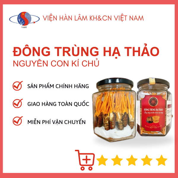 [CHÍNH HÃNG - LOẠI ĐẶC BIỆT] Đông trùng hạ thảo ký chủ nhộng tằm - Viện ...