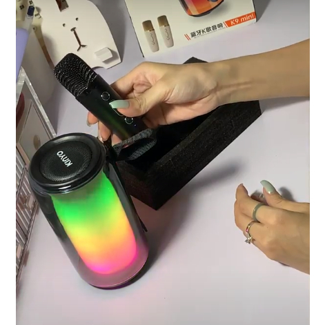 Loa karaoke mini nhiều màu kèm mic | Shopee Việt Nam