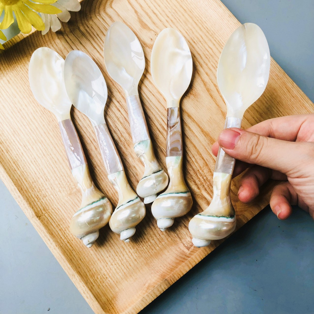 [Bộ 5] THÌA TRAI CÁN ỐC SANG TRỌNG 15x3 CM | Shopee Việt Nam