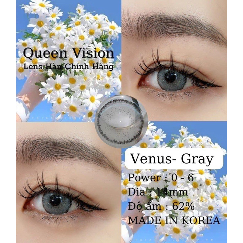 Kính áp tròng Venus-gray không cận và cận 1-6 độ ( giá 1 chiếc ...