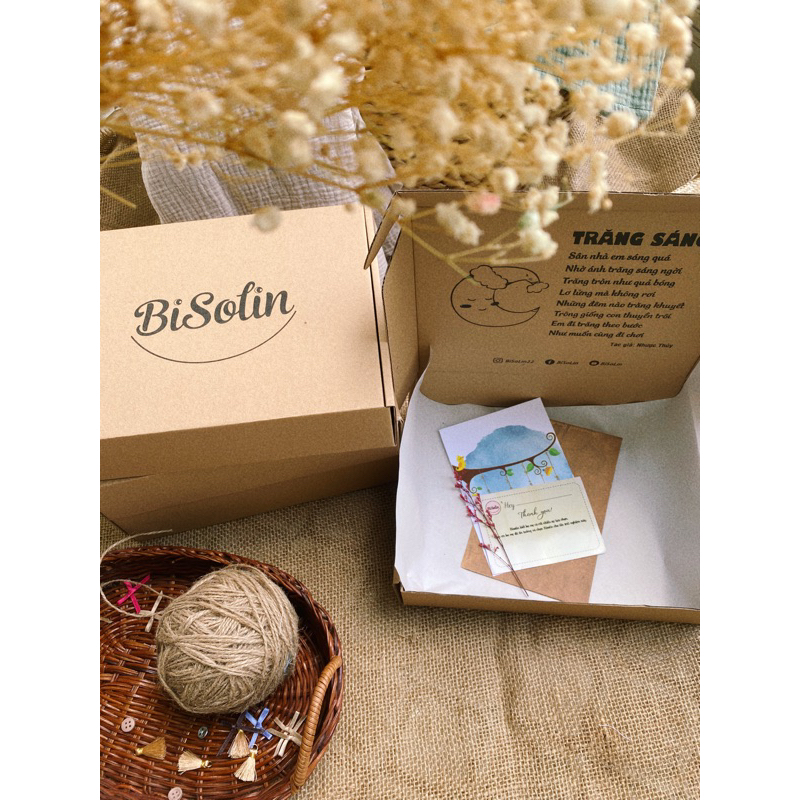 Hộp quà tặng Bisolin | Shopee Việt Nam