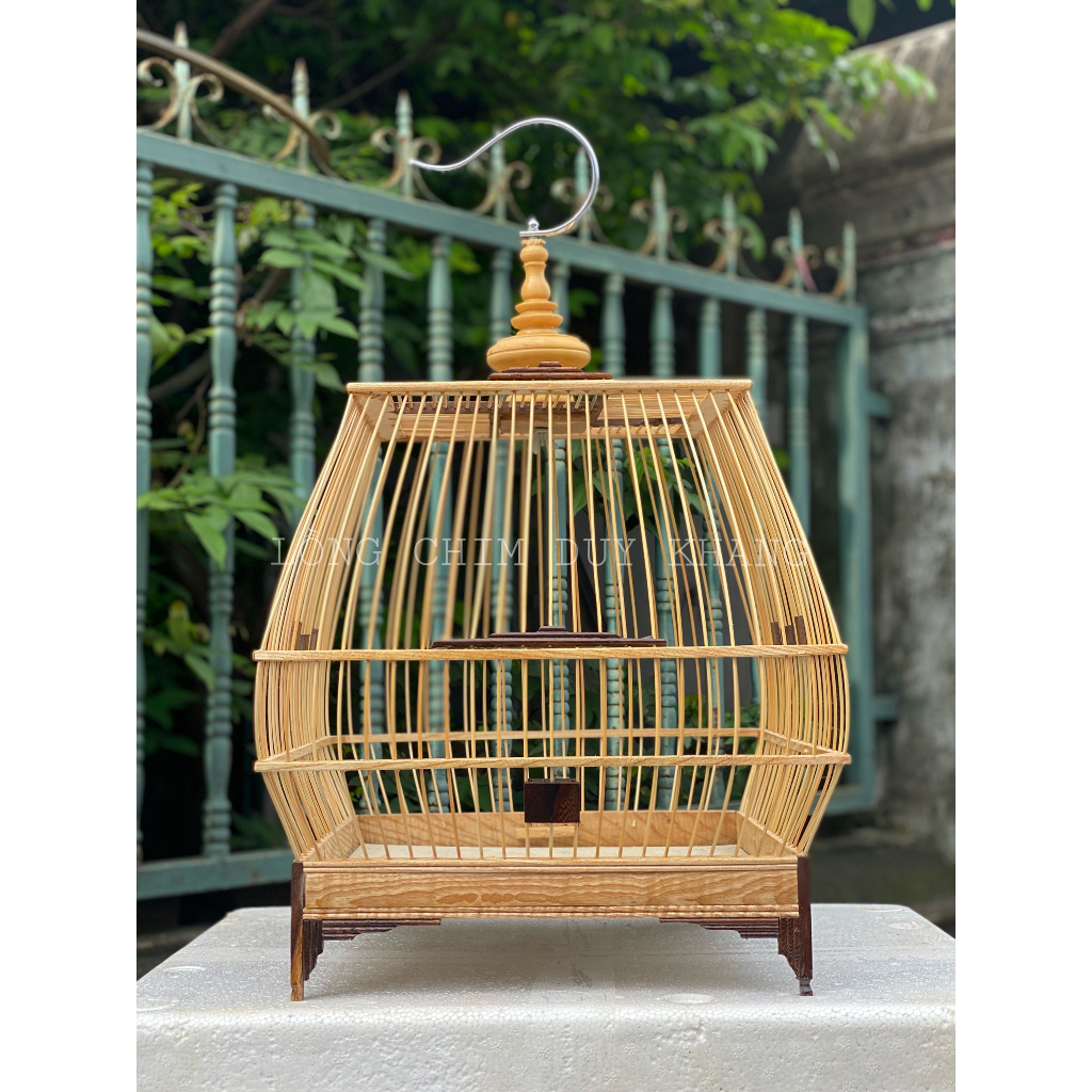 Lồng chim chào mào Duy Khang form sing đấu kèm Phụ kiện, lồng sing đấu ...