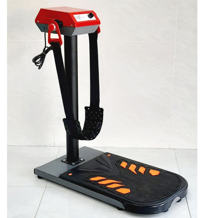 Máy Rung Bụng Đứng Queen Pro New M150. 300W Dây Nút: Máy Rung Massage ...