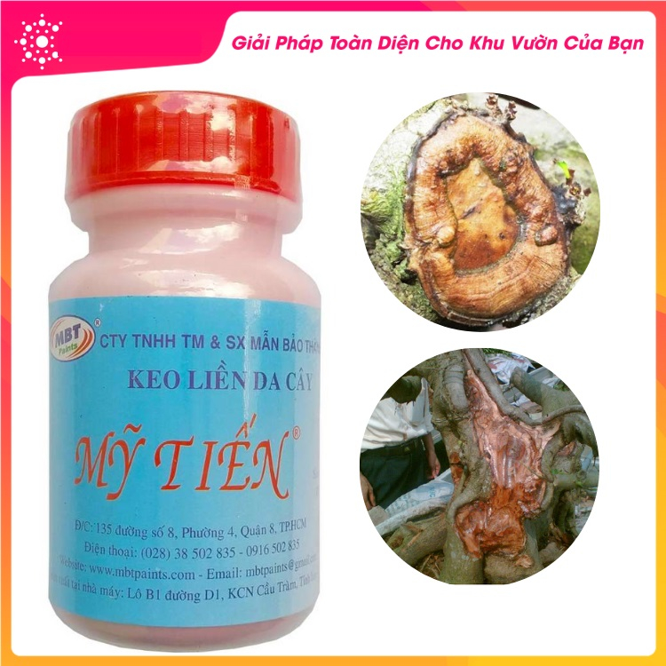 Keo Liền Sẹo - Keo Liền Da Cây Mỹ Tiến (chai 100g) | Shopee Việt Nam