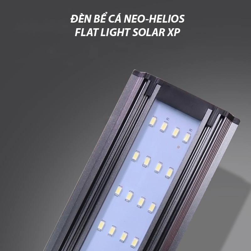 Đèn Bể Cá Neo-Helios Flat Light Solar XP Đủ Size - LED RGB PRO Đỏ Cá ...