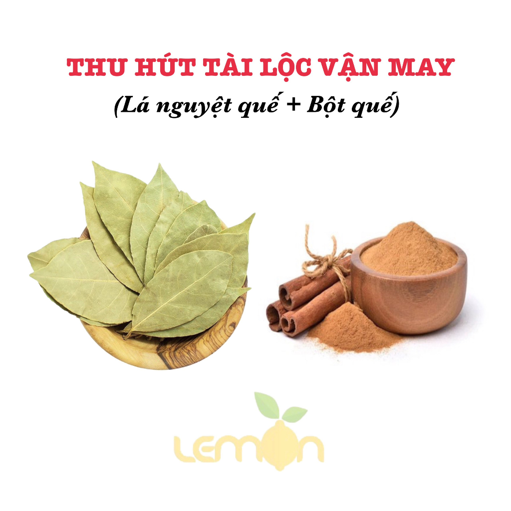 Lá nguyệt quế đẹp - Combo lá nguyệt quế thu hút tài lộc, vận may ...