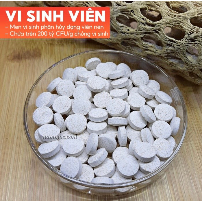 1 Viên vi sinh dạng nén làm trong nước, sạch nước cho hồ cá cảnh thủy ...