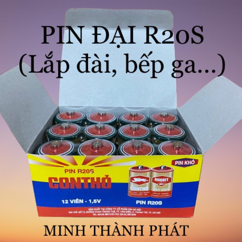 1 HỘP PIN ĐẠI CON THỎ R20S 1,5V (12 viên) | Shopee Việt Nam