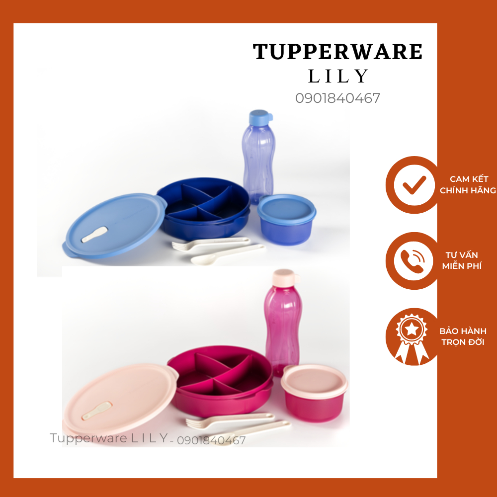 Bộ hộp cơm FIT TO GO + Tặng kèm túi đựng - Tupperware | Shopee Việt Nam