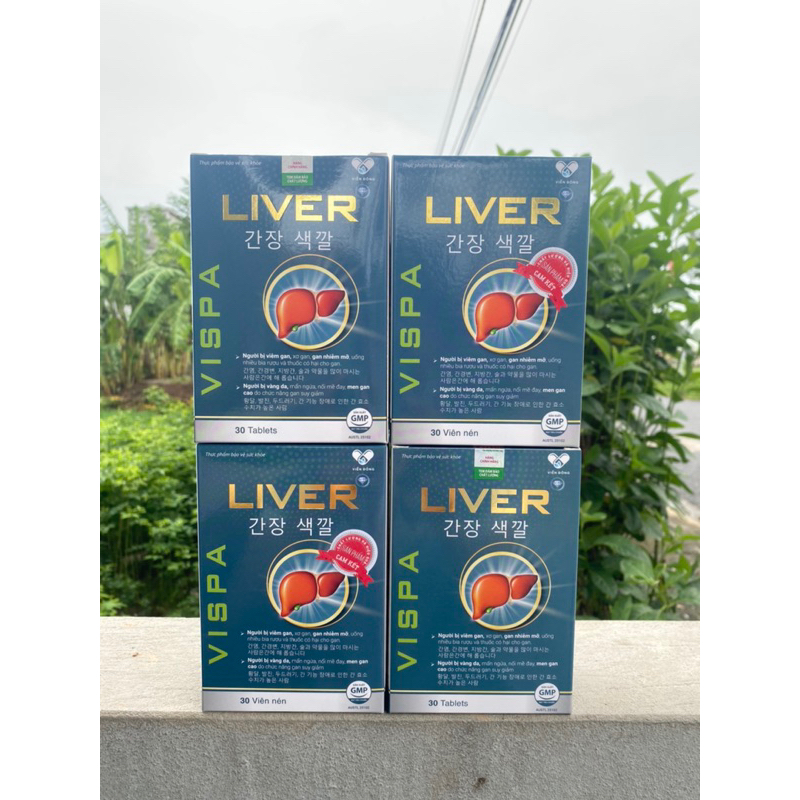 Bổ gan Liver Vispa (giúp thải độc, mát gan, tăng cường chức năng gan ...